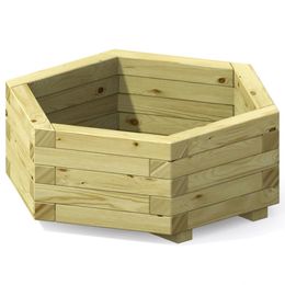 TraumGarten Pflanzk&uuml;bel ANNA Nadelholz sechseck, 100 cm (130l)