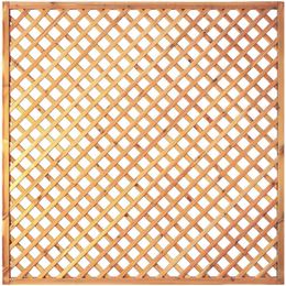 TETZNER & JENTZSCH T&J Diagonal-Rankzaun MW 6x6 cm Rankgitter Sichtschutzzaun, 180x180 cm