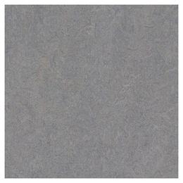 forbo Linoleum Marmoleum Click eternity Bodenbelag, 30x30 cm
