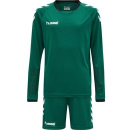 Hummel Anzug Raglan&auml;rmel Core Kids Kinder in EVERGREEN | Gr.: 116