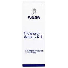 Weleda Thuja Occid D 6 20 ML