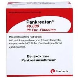 Pankreatan 40.000 Ph.eur.-Einheiten 200 ST
