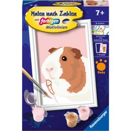 Ravensburger Kinder Malen nach Zahlen "CreArt, Niedliches Meerschweinchen", bunt, B:5cm H:12cm, Malvorlagen, Made in Europe