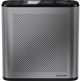 Sharp Digitalradio (DAB+) "DR-P530(GY)", B:14,5cm H:15cm T:6,9cm, silber, Radios