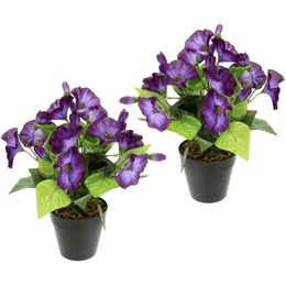 Kunstblume I.GE.A. "Petunien", lila (violett), B:22cm H:27cm L:22cm, Obermaterial: 80% Polyester, 20% Kunststoff, Kunstpflanzen, Im Topf, 2er Set Petunien Zierpflanze Glockenblume klein Blumen Deko