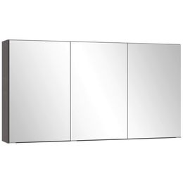 Held Spiegelschrank, Graphit, Glas, 6 F&auml;cher, 120x64x20 cm, Made in Germany, Badezimmer, Badezimmerspiegel, Spiegelschr&auml;nke