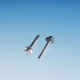thyssenkrupp ALWO Oberprofilsystem Schrauben V2A 16 mm mit Dichtscheibe, 50 St&uuml;ck, 6,3x50 mm,Stahlunterkonstruktionen, 1 Pack