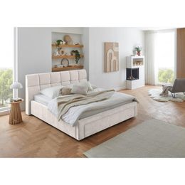 Meise M&ouml;bel meise.m&ouml;bel Polsterbett &raquo;Canyon, Breite 180cm, erh&auml;ltlich in grau oder beige&laquo; inkl. Schubkasten im Fu&szlig;teil - ideal als Hundebett nutzbar