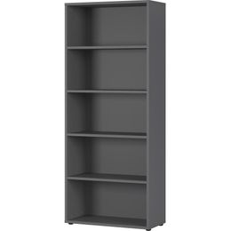 KADIMA DESIGN Aktenregal Universal gro&szlig; 197cm hoch, 80cm breit, 5 Ordnerh&ouml;hen B&uuml;ro | Gr.: onesize