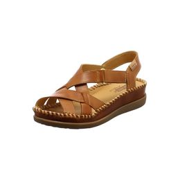 Pikolinos R&ouml;mersandalen in Braun | Gr.: 41