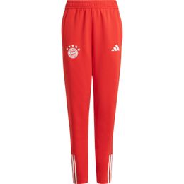Adidas FC Bayern M&uuml;nchen Trainingshose Kinder - Gr&ouml;&szlig;e 164 - rot