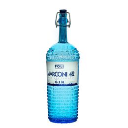 Poli Distillerie Poli Marconi 42 Gin Stile Mediterraneo (42 % Vol. 0,7 Liter)