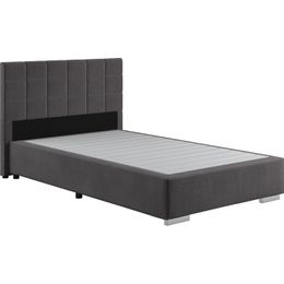 Boxspringbett COTTA, L:209cm, grau, Polyester, Komplettbetten, "Simba", Topseller wahlweise mit oder ohne Matratze und Topper bestellbar