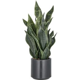 Kunstpflanze Creativ green, H:66cm, gr&uuml;n, Kunststoff, Kunstpflanzen, "Sanseveria Grey Stripe", im eleganten Pflanzgef&auml;&szlig;