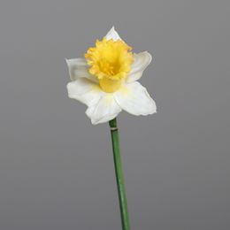 DPI Kunstblume Narzisse