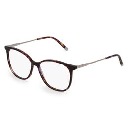 Calvin Klein CK5462 Brille Unisex | Fassung: Vollrand, Quadratisch, Braun Silber