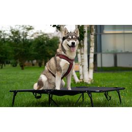 Berger SnoozeNest faltbares Hundebett klein bis 40 kg (L) - Hundebetten