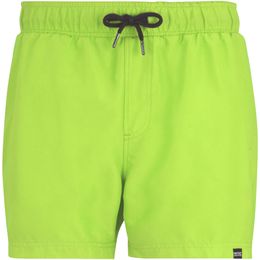 Regatta Mawson III Herren Schwimmshorts hellgr&uuml;n S - Herrenhosen & -shorts