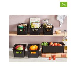Violeta Home 6er-Set: Aufbewahrungsk&ouml;rbe in Schwarz - (B)31 x (H)17 x (T)10,5 cm - 61% | Kisten-koerbe