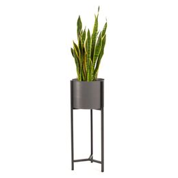 LIFA LIVING Pflanzenst&auml;nder "Delphine" in Grau - (H)70 cm - 52% | Gartenwerkzeuge