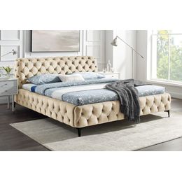 Riess Ambiente Design Bett MODERN BAROCK 180x200cm champagner Samt Chesterfield Doppelbett Riess-Ambiente