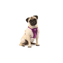 PetSafe Kurgo Tru-Fit Autosicherheitsgeschirr f&uuml;r Hunde, Gr&ouml;&szlig;e XS, Lila