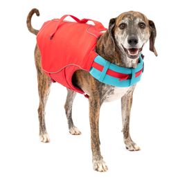 PetSafe Kurgo Surf N Turf Hundeschwimmweste, Gr&ouml;&szlig;e XL