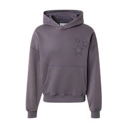 Hollister Sweatshirt Herren Gr&ouml;&szlig;e XL grau