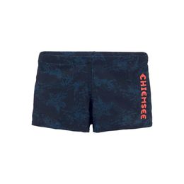 Chiemsee Swim Trunks male Blue size 4