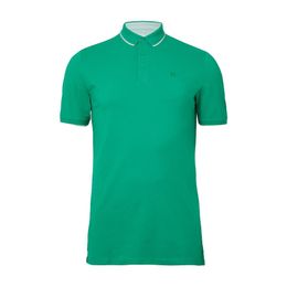 s.Oliver Men Tall Sizes Poloshirt Herren Gr&ouml;&szlig;e L gr&uuml;n / wei&szlig;