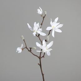 DPI Kunstblume MAGNOLIENZWEIG