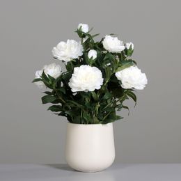 DPI Kunstblume P&auml;onien Arrangement