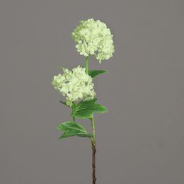 DPI Kunstblume Schneeball
