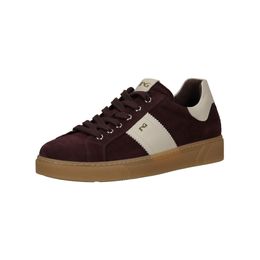 Nero Giardini Sneaker Damen Gr&ouml;&szlig;e 38 dunkelbraun / wei&szlig;