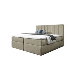 M&ouml;bel Kraft Boxbett mit Bettkasten beige Ma&szlig;e (cm): B: 160 H: 110 &raquo; M&ouml;bel Kraft