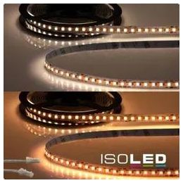 Isoled LED Flexband CRI919/940 MiniAMP 24V CCT wei&szlig;dynamisch 15W/m 1900-4000K CRI92 2,5m Stecksystem EEK E [A-G]