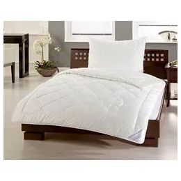 Frankenstolz &raquo;Sannwald Peru&laquo; Bettdecken Duo-Steppbett / 155x220 cm / 1200g