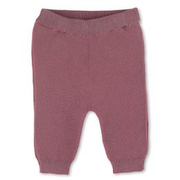Sterntaler Strickhose in Lila - 36% | Gr&ouml;&szlig;e 74 | Babyhosen