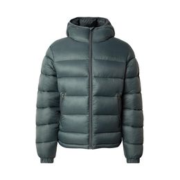 Napapijri Winter Jacket 'ARNEL 1' male Green size L