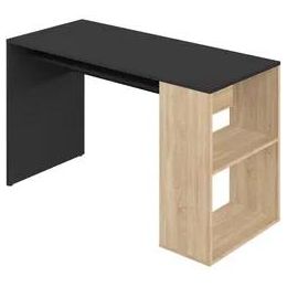 TemaHome &raquo;Yale&laquo; Schreibtisch Schwarz 114x76x50 cm