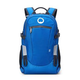 Delsey Paris Backpack male Blue size One Size