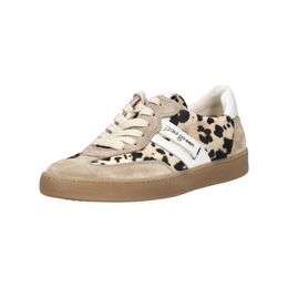 Paul Green Sneaker Damen Gr&ouml;&szlig;e 36 beige