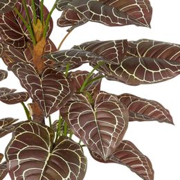 Kunstpflanze Creativ green, H:100cmbraun, Kunststoff, Kunstpflanzen, "Anthurium", mit naturgetreuer Gestaltung