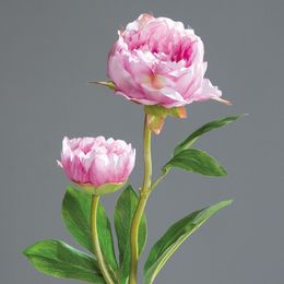 DPI Kunstblume P&auml;onie