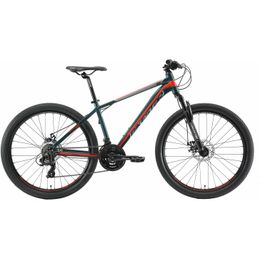 Mountainbike Bikestar Gr. 41, gr&uuml;n, Fahrr&auml;der, Herren, 41cm, 26 Zoll (66,04cm), f&uuml;r Damen und Herren, Kettenschaltung
