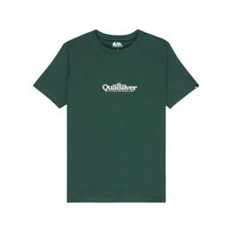 T-Shirt Quiksilver "Ev Fineline", Jungen, Gr. 10, trekking gr&uuml;n, Obermaterial: 100% Baumwolle;, Shirts T-Shirt