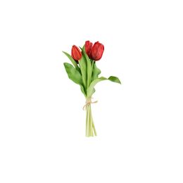 M&ouml;bel Kraft Tulpenbund rot Kunststoff Ma&szlig;e (cm): H: 28 &raquo; M&ouml;bel Kraft