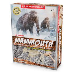 Ulysse Ausgrabungsset "Mammut" - ab 6 Jahren - 8% | Experimentieren-spielzeug