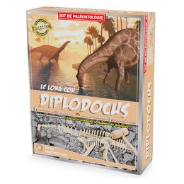 Ulysse Ausgrabungsset "Diplodocus" - ab 6 Jahren - 20% | Experimentieren-spielzeug