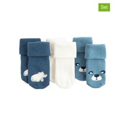 COOL CLUB 3er-Set: Socken in Blau/ Wei&szlig;/ Hellblau - 42% | Gr&ouml;&szlig;e 22-24 | Babysocken-strumpfhosen